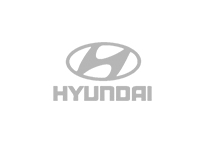 Yonke el Pollo – Te Mejoramos Cualquier Presupuesto